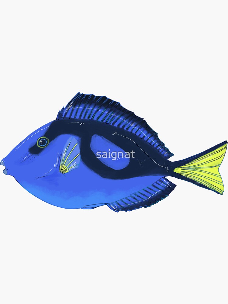 "Blue Tang" Sticker for Sale by saignat | Redbubble