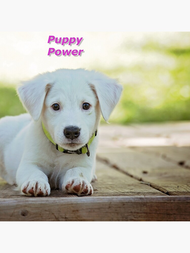 "The World Needs More Puppy Power" Poster for Sale by SuperiorD24 ...