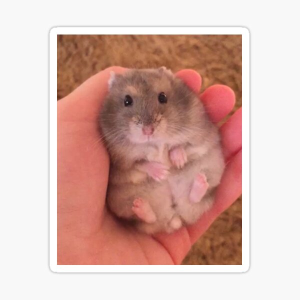 "Big eyes" Sticker by BiscuitHamster | Redbubble