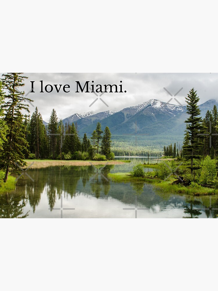 "i love miami" Sticker by DILFenthusiast | Redbubble