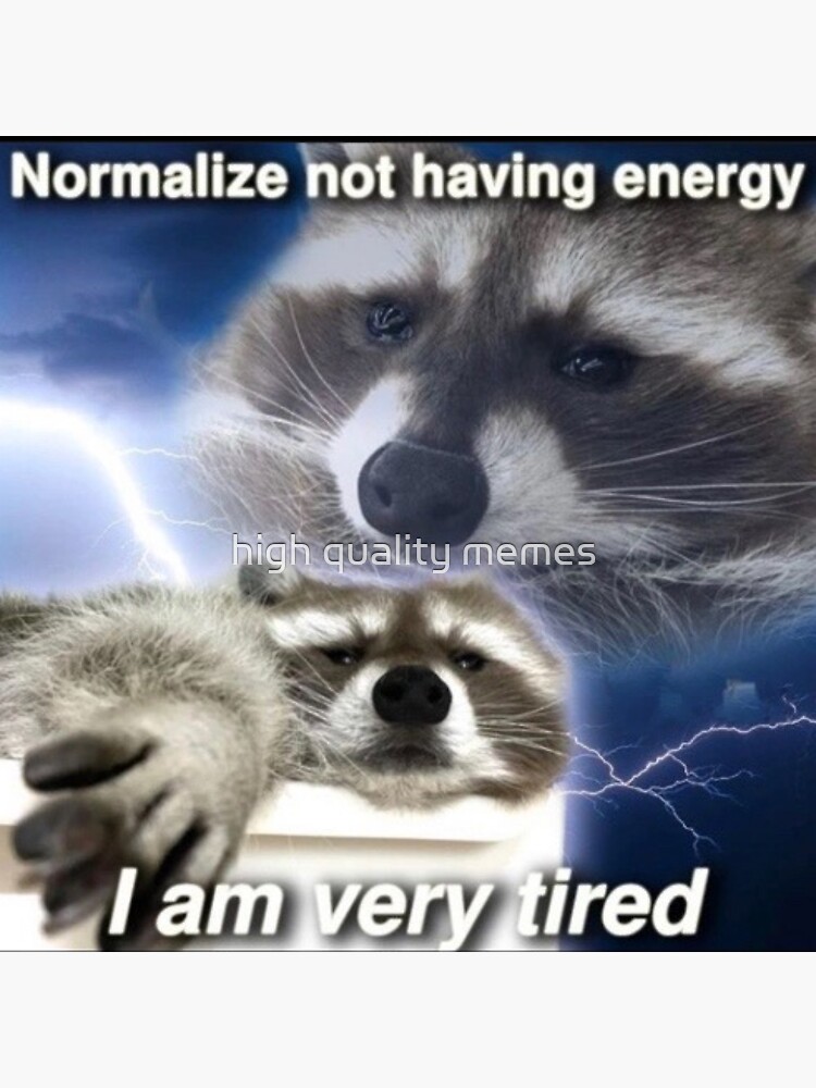 "Tired Raccoon Meme" Sticker for Sale by hannalavoie | Redbubble