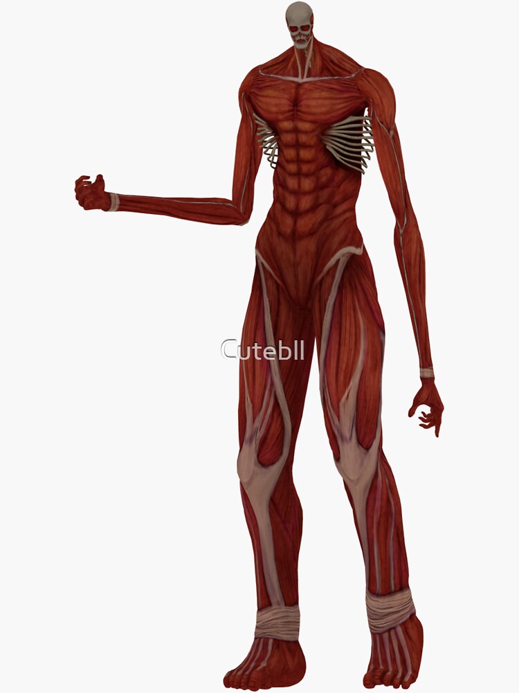 "Attack on Titan-Colossal Titan" Sticker by Cutebll | Redbubble