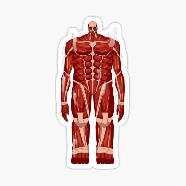 "Attack on Titan-Colossal Titan" Sticker for Sale by Cutebll | Redbubble