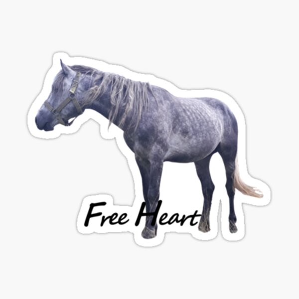 "Free Heart Arabian Pureblood grey horse " Sticker by GiveThemLoveZ ...