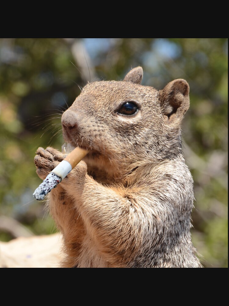 "Puffy The Cigarette Smoker Smoking Squirrel Sticker" Classic T-Shirt ...