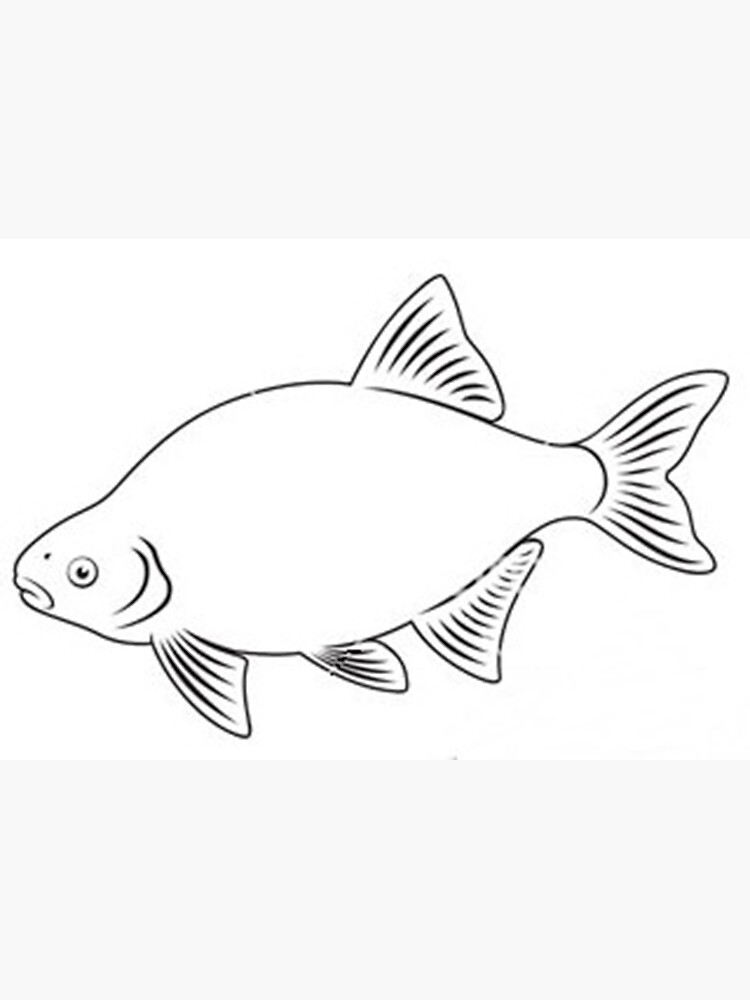"Bream fish Sticker" Sticker by LindaPretterhof | Redbubble