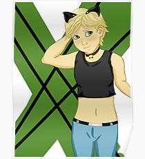 Adrien Agreste: Posters | Redbubble