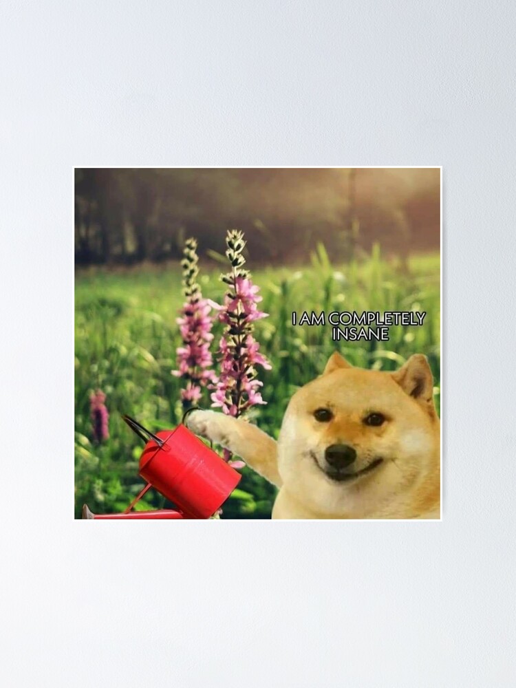 "I am completely insane" Poster for Sale by Alexjones6 | Redbubble