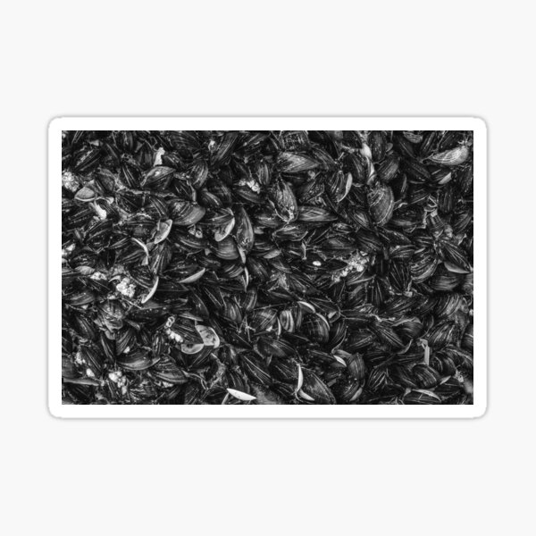 "Mussels in black and white" Sticker by Slalon85 | Redbubble