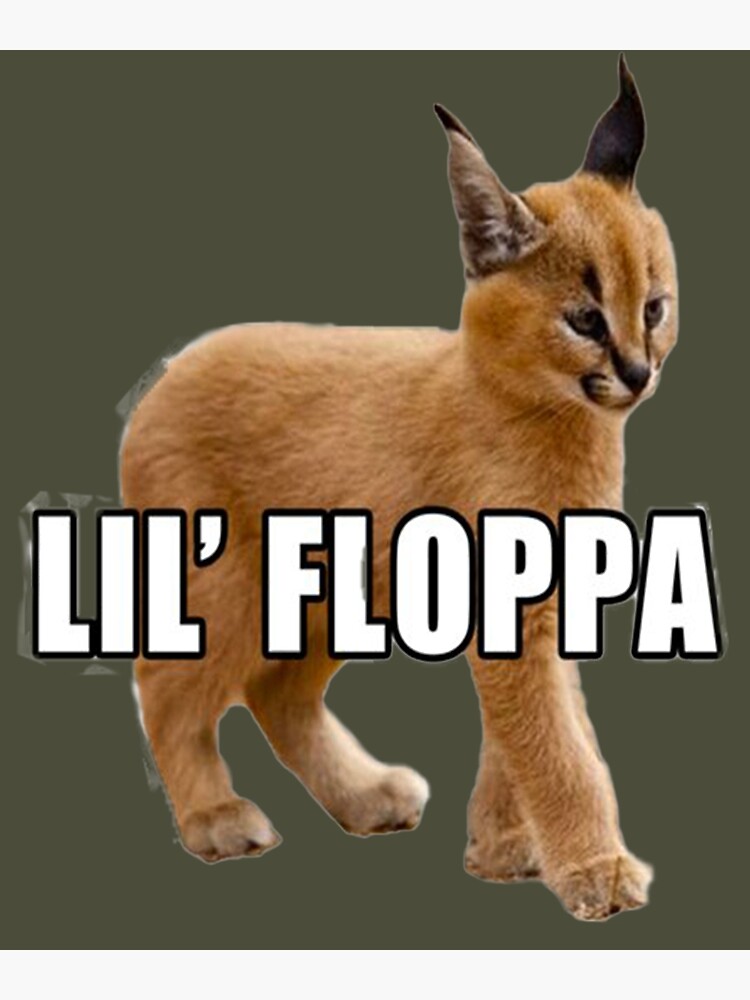 Lámina metálica «Floppa peeker meme mirando a escondidas Big floppa ...