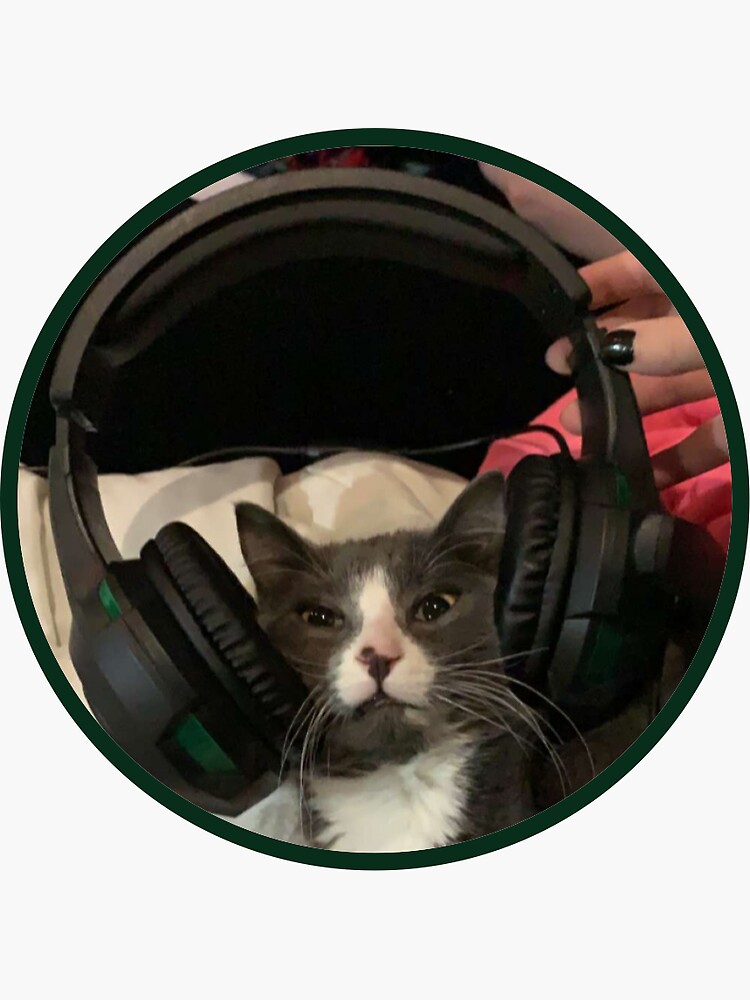 "Gamer Cat Sticker" Sticker for Sale by harri-perk-18 | Redbubble