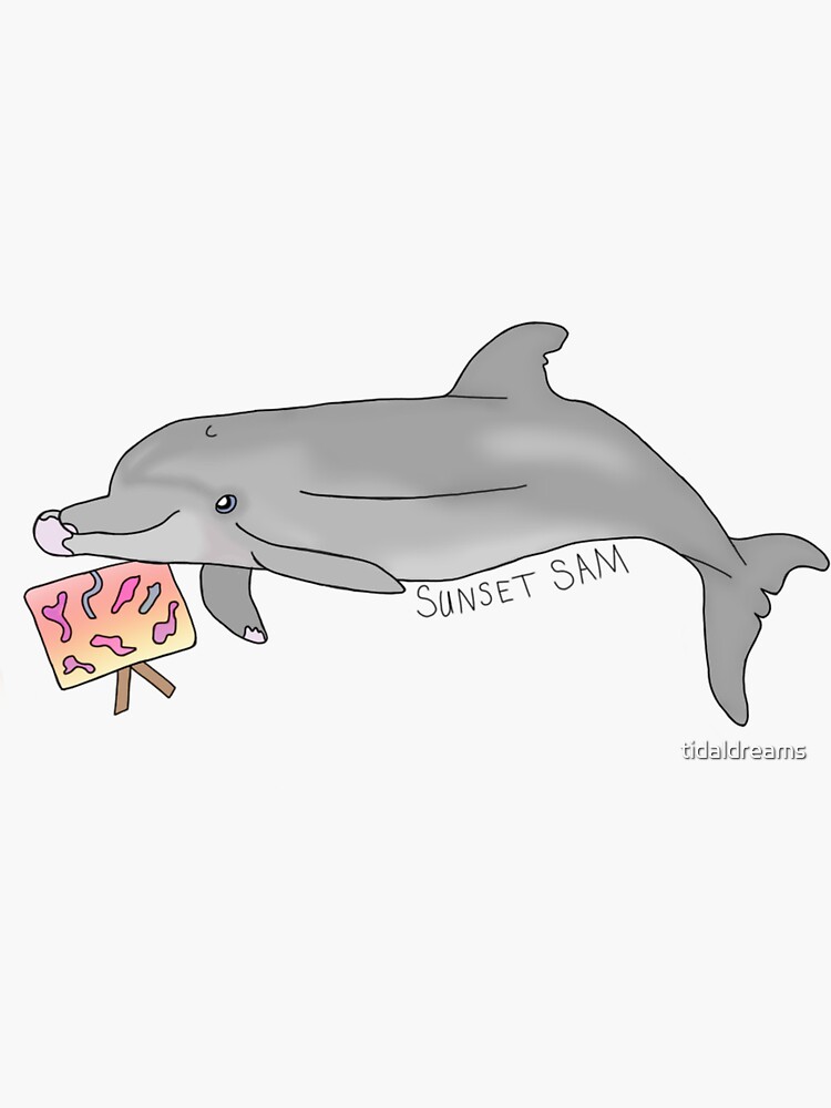 "Sunset Sam Dolphin" Sticker for Sale by tidaldreams | Redbubble
