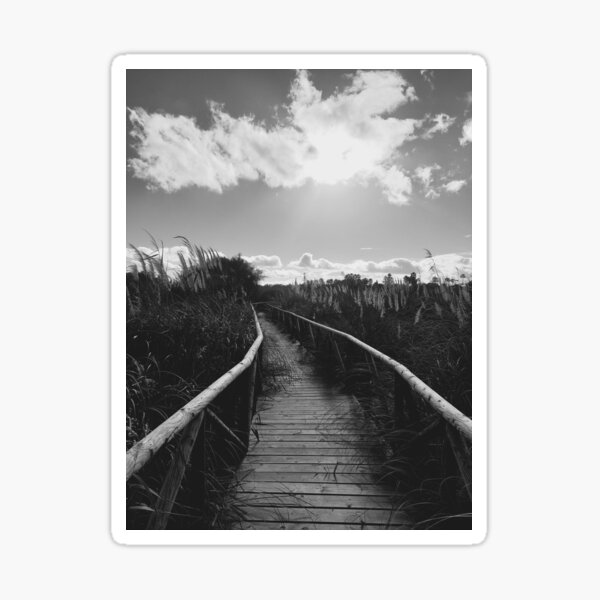 "Nature path walkway" Sticker for Sale by AlzbetaArt | Redbubble