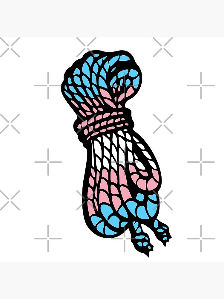 "Transgender Shibari Rope Bundle" Poster by hey-howl | Redbubble