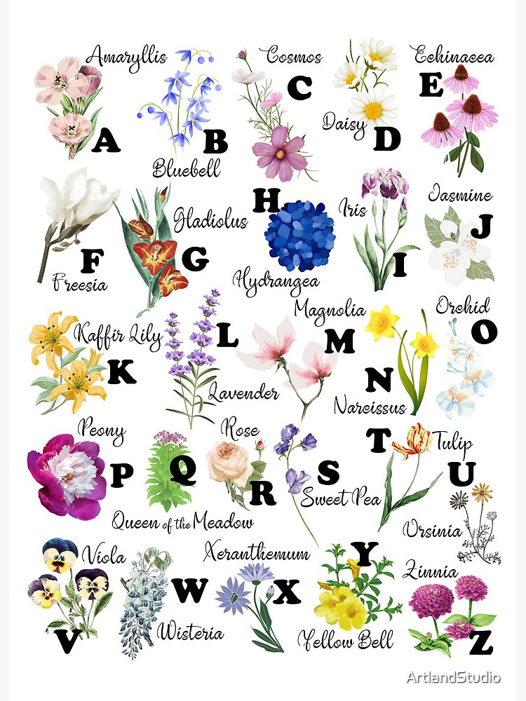 "Flower Alphabet" Art Board Print for Sale by ArtlandStudio | Redbubble