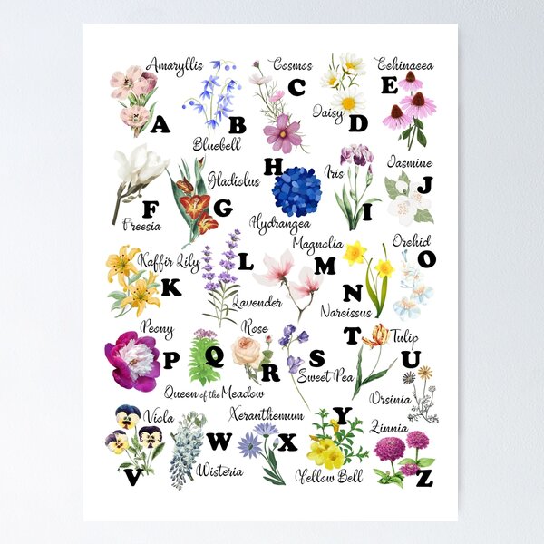 "Flower Alphabet" Poster for Sale by ArtlandStudio | Redbubble