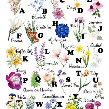 "Flower Alphabet" Poster for Sale by ArtlandStudio | Redbubble
