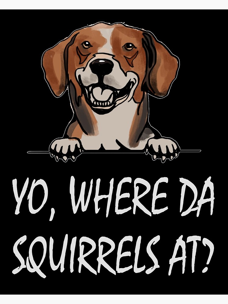 "Yo, Where Da Squirrels At?" Poster for Sale by mrtraz | Redbubble