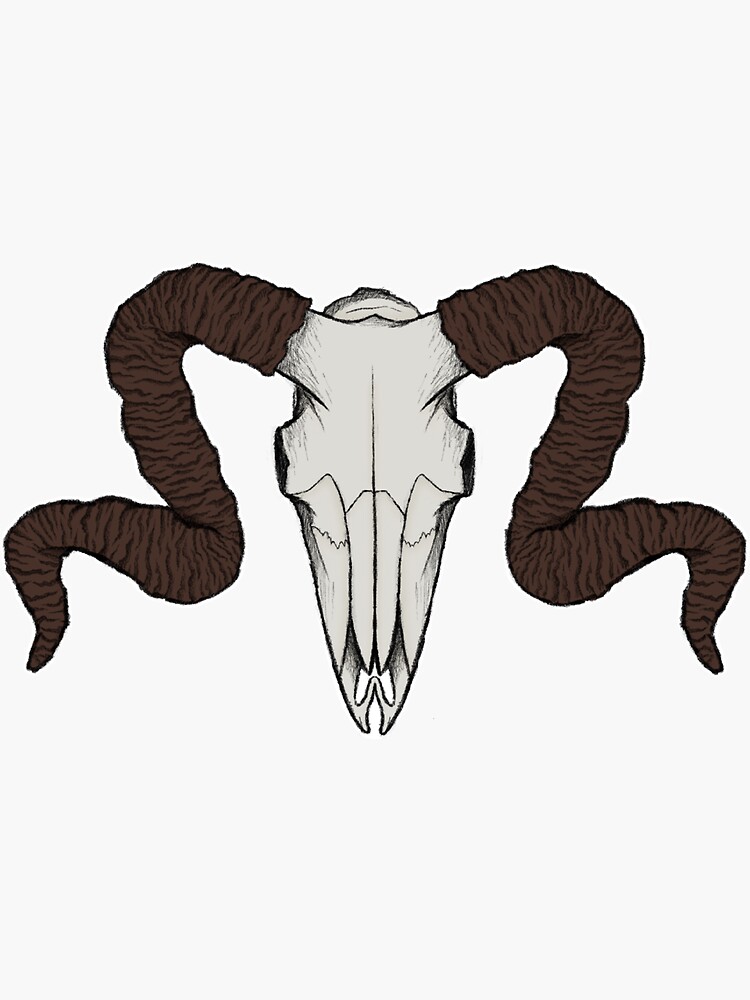 "Ram skull" Sticker for Sale by Trashchangeling | Redbubble