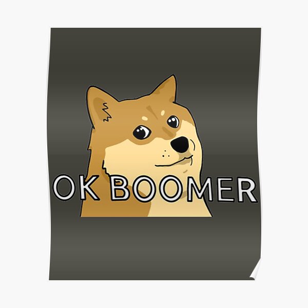 "OK BOOMER doge meme" Poster for Sale by Rachel88c | Redbubble