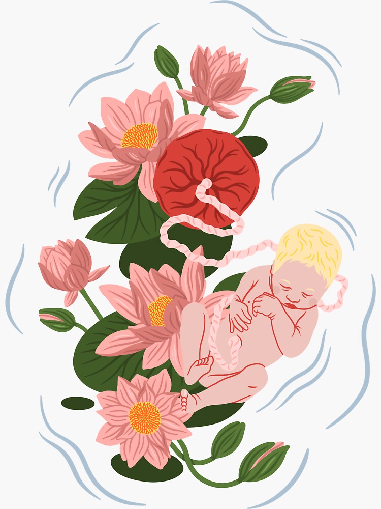 "Lotus Birth " Sticker for Sale by RachelKay | Redbubble