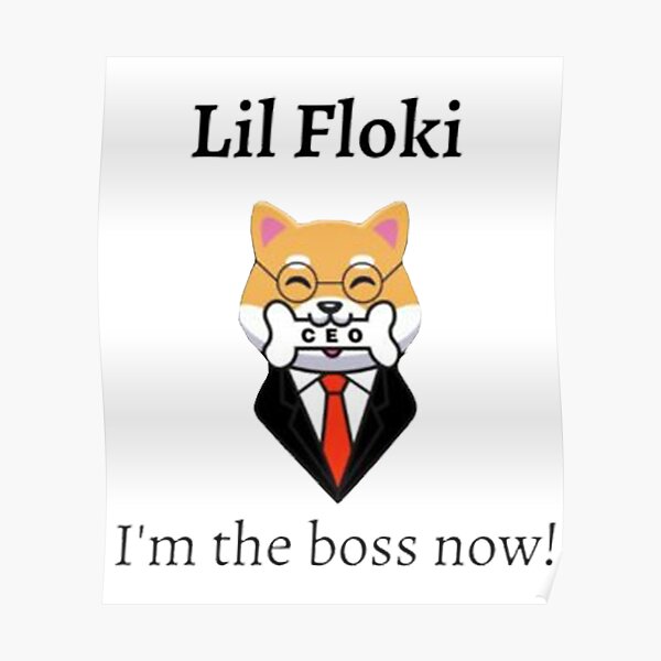 Póster «Ficha de Lil Floki» de Rachel88c | Redbubble