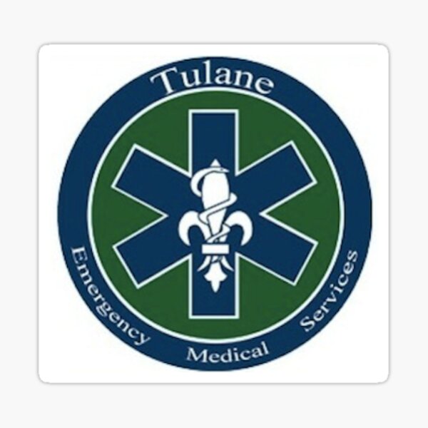 Tems Merch & Gifts for Sale | Redbubble