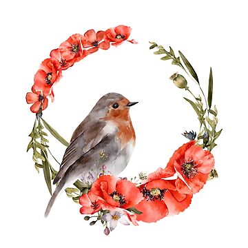 "Watercolor robin bird on a red poppy wreath : spring illustration ...