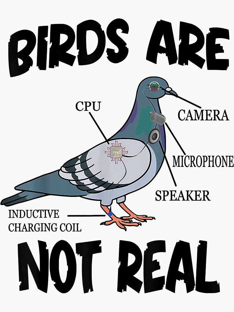"Birds Are Not Real Funny Bird Spies Conspiracy Theory Birds" Sticker ...