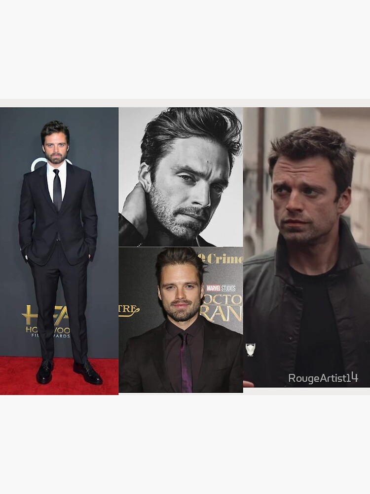 "Sebastian Stan Photo Collage" Sticker by RougeArtist14 | Redbubble