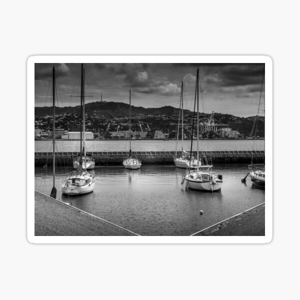 "Sailboats At Port Nicholson Yacht Club" Sticker for Sale by ...