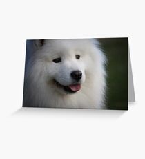 Samoyed: Gifts & Merchandise | Redbubble