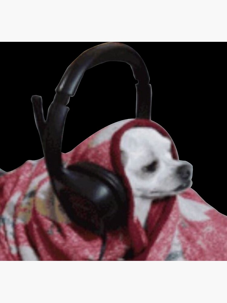 Póster con la obra «Meme de perro con auriculares» de los-memes | Redbubble