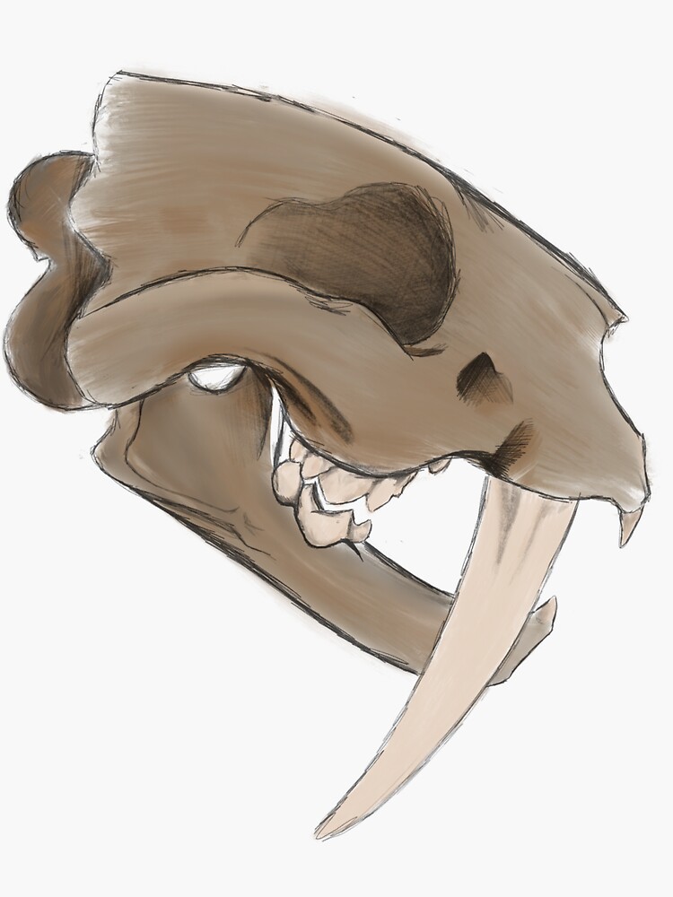" Sabretooth Cat skull " Sticker for Sale by Weirdstuffshop | Redbubble