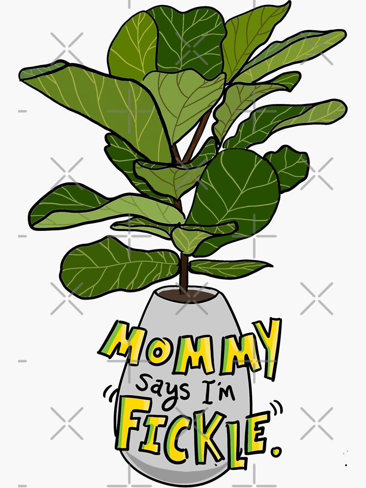 "Fickle Fig Tree" Sticker for Sale by GreenlundCNTNT | Redbubble