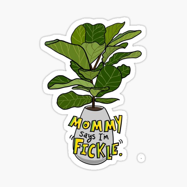"Fickle Fig Tree" Sticker for Sale by GreenlundCNTNT | Redbubble