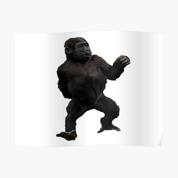 "golira" Poster for Sale by storpro | Redbubble