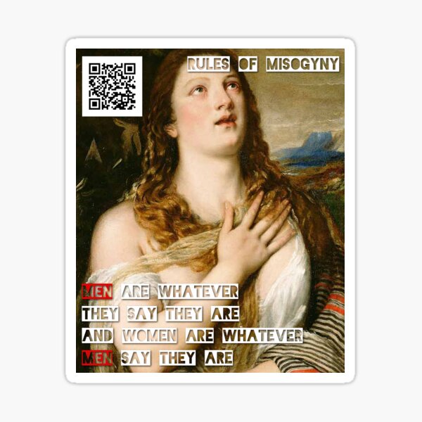 "Rule 8 of Misogyny" Sticker for Sale by Jinxywinxy13 | Redbubble