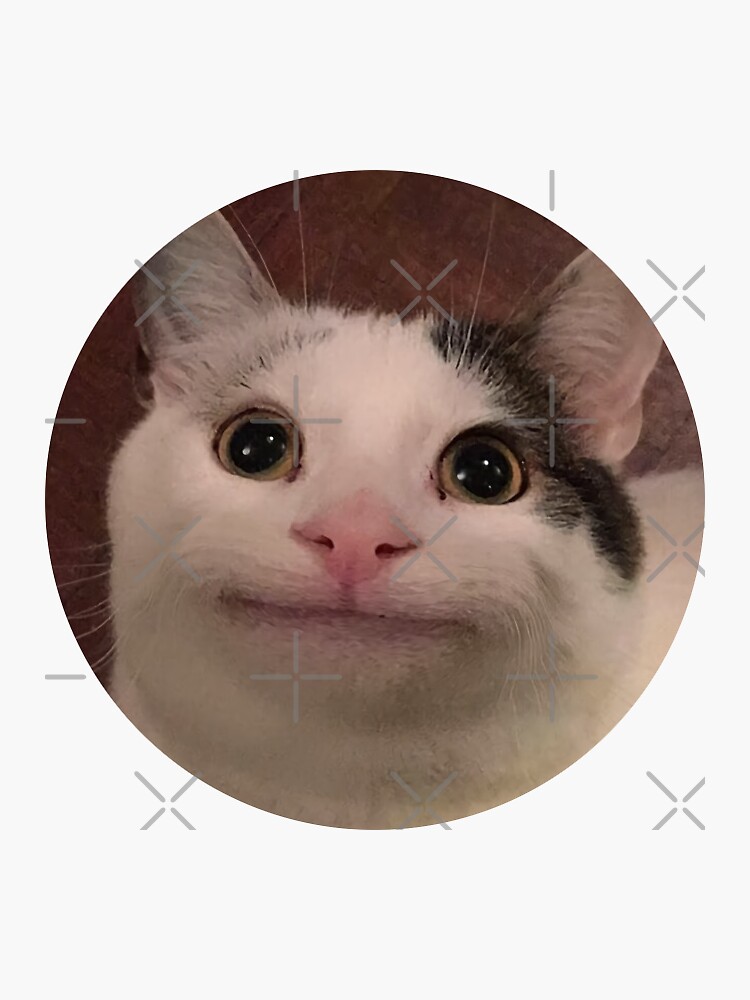 "Beluga Cat" Sticker for Sale by ComedyFanClub | Redbubble