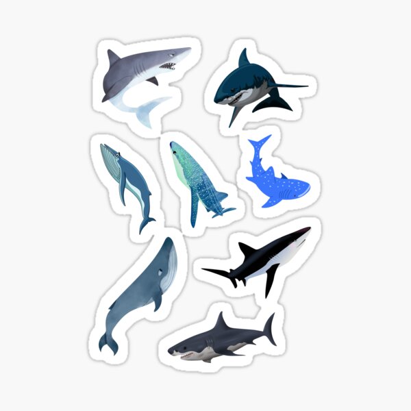 "blue sharks" Sticker for Sale by Rima94 | Redbubble