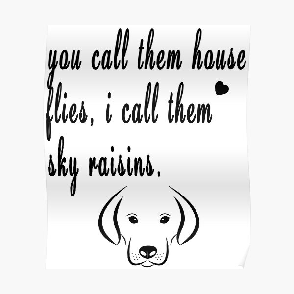 "you call them house flies, i call them sky raisins." Poster by funny ...