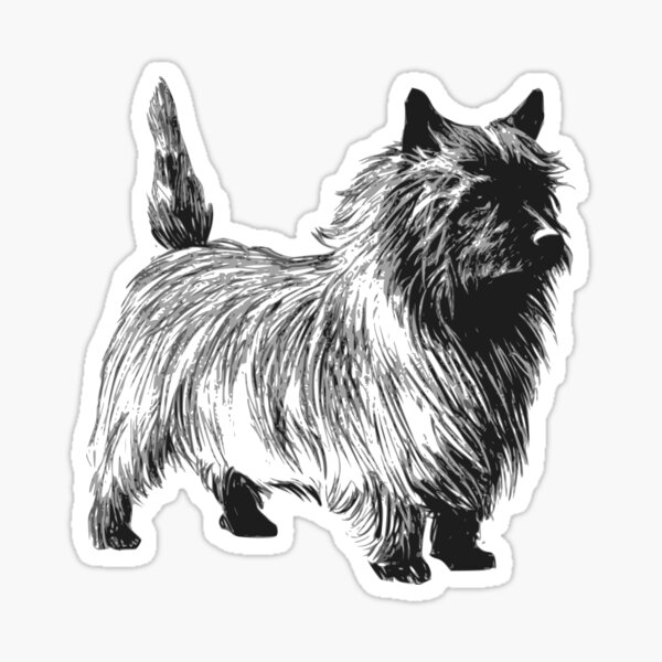 Cairn Terrier Stickers | Redbubble
