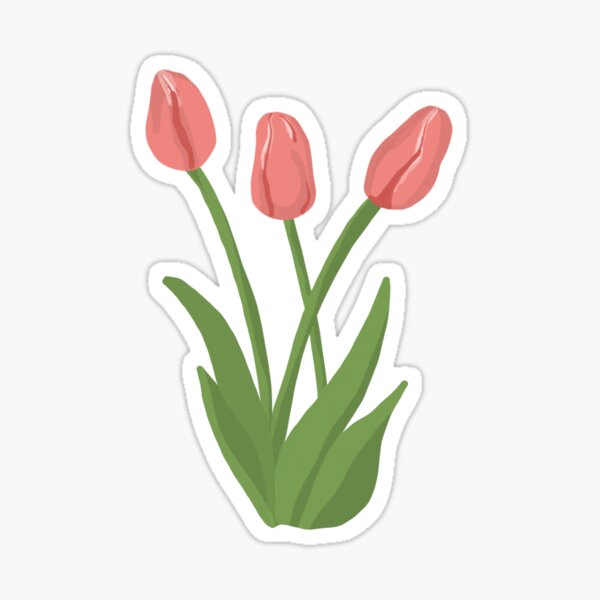 "tulip,pink tulip,water-colour flower,handdrawn tulip,digital tulip ...
