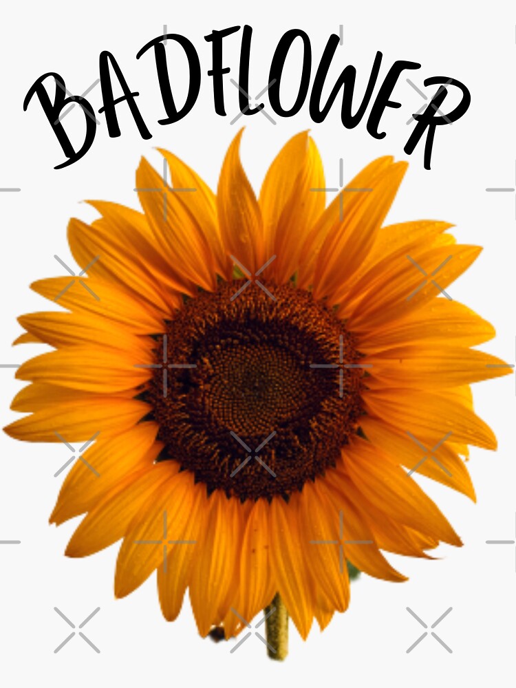 "BADFLOWER SUNFLOWER" Sticker by saramostafaart | Redbubble