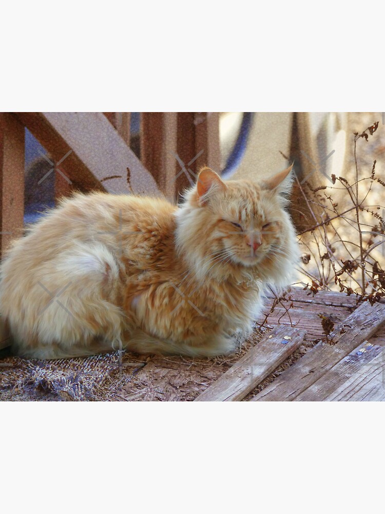 "Ginger George" Sticker for Sale by FrankieCat | Redbubble