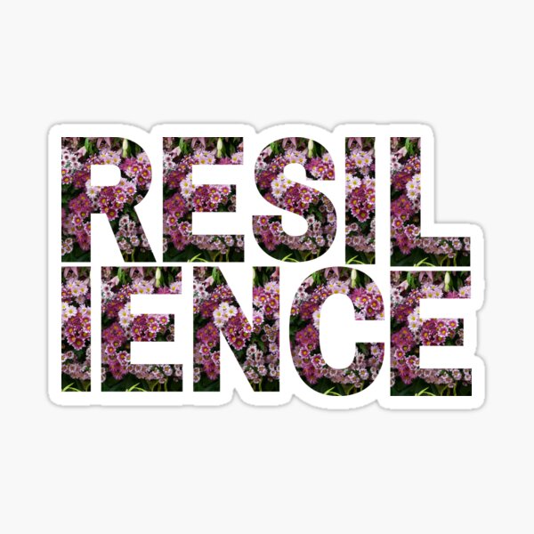 Resiliency Gifts & Merchandise | Redbubble