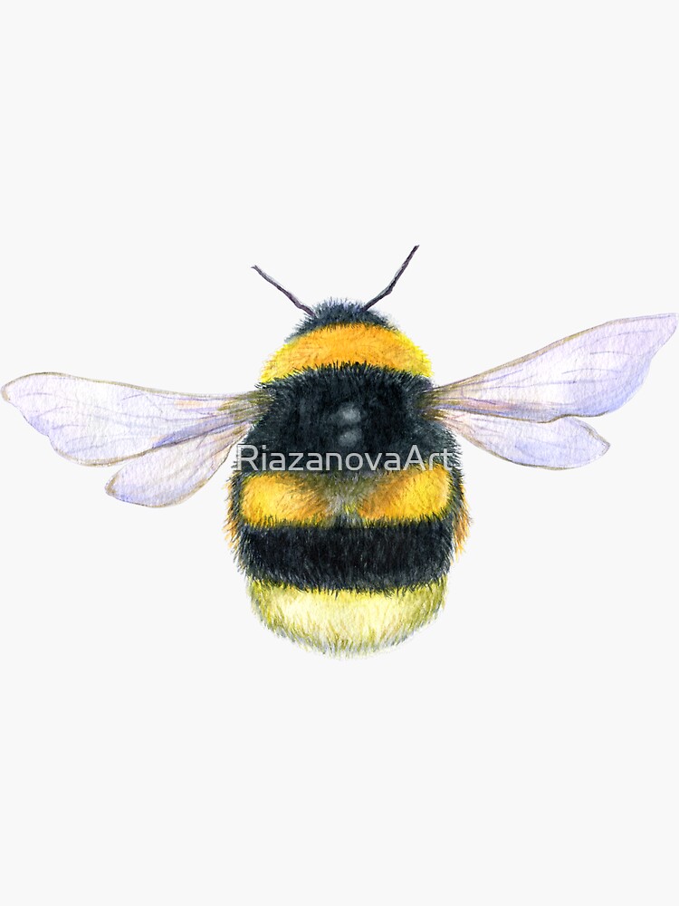 "Bumblebee" Sticker for Sale by RiazanovaArt | Redbubble