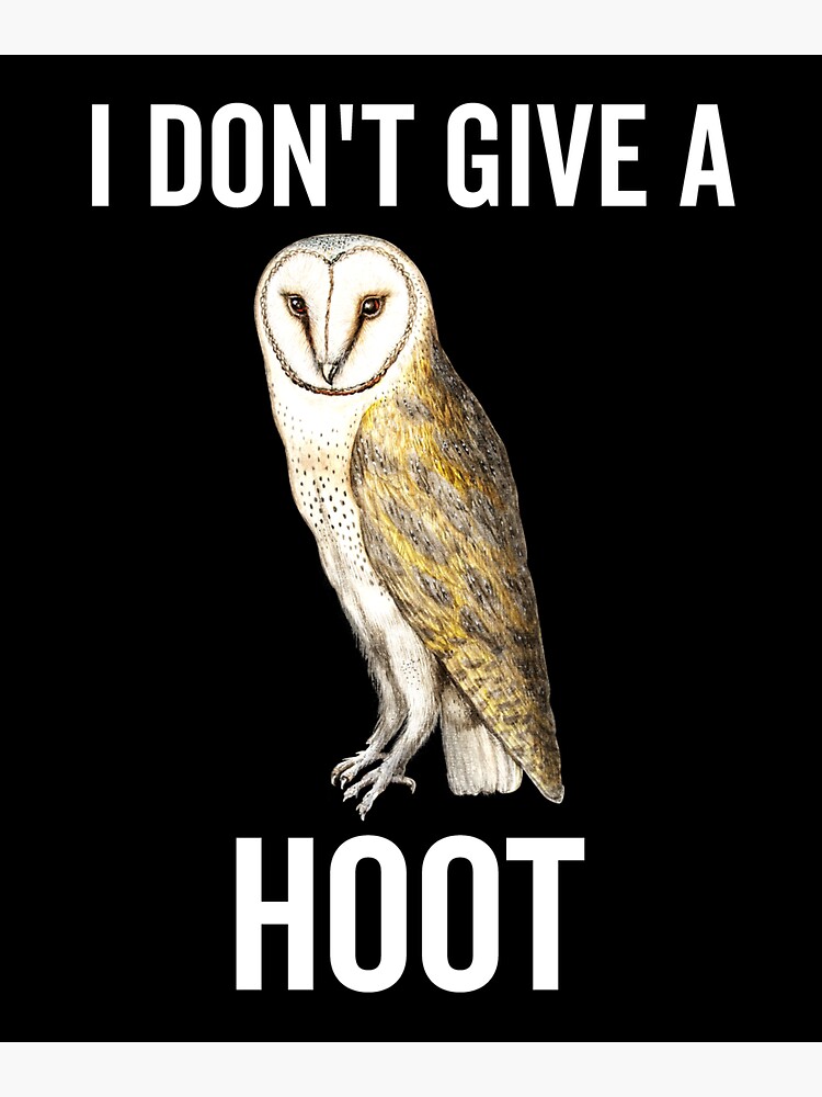 Owl Meme Hoot Don't Give A Hoot Owl T Shirt | Funny Owl T Shirts