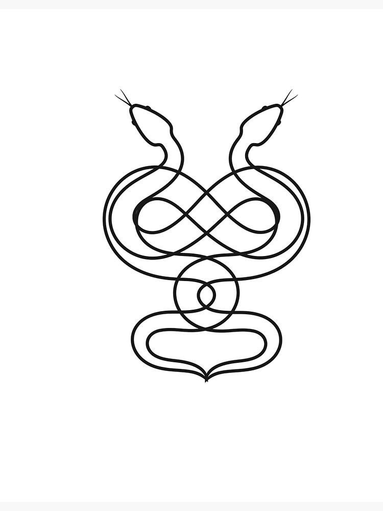 "two snakes intertwined" Poster for Sale by LynnHinson7 | Redbubble