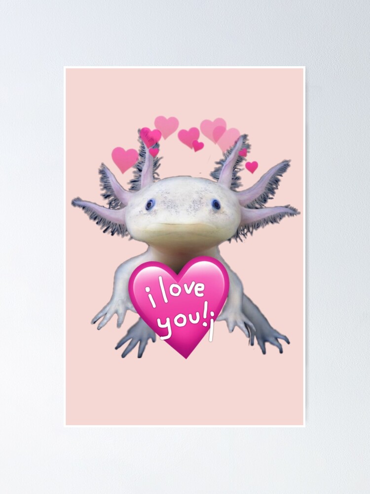 "Axolotl valentines day, axolotl" Poster for Sale by Heba44 | Redbubble